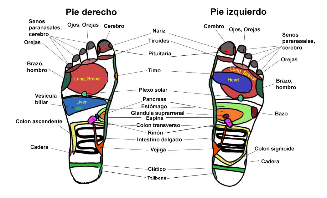 Reflexología Podal- Podología en Fisioterapia Playamar